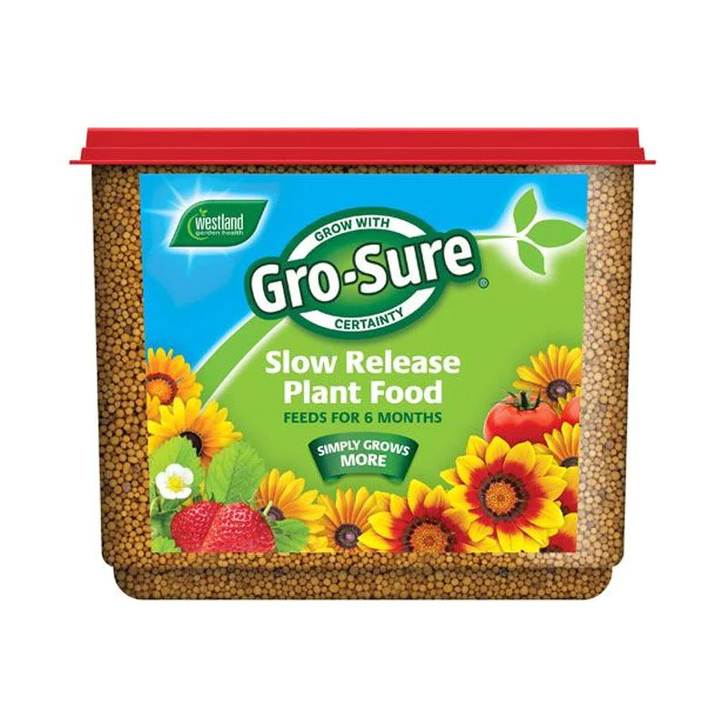 Gro-Sure Six Month Slow Release Plant Food 2kg – Plants and Gardening ...